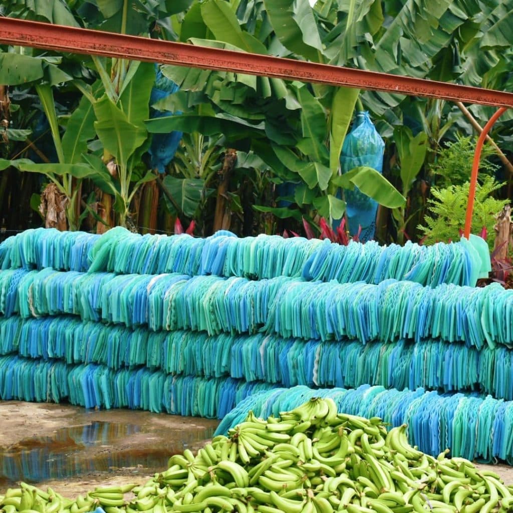 Protector de racimo circular y semi-circular – La Hectárea